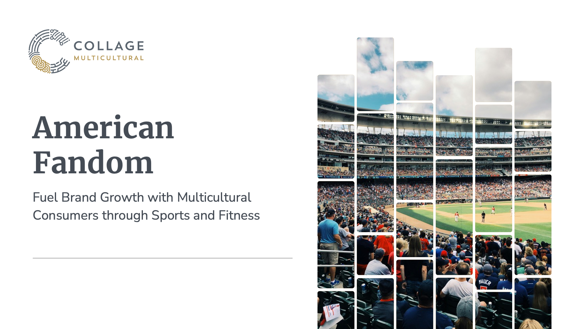 Drive Growth with Multicultural Consumers via Sports